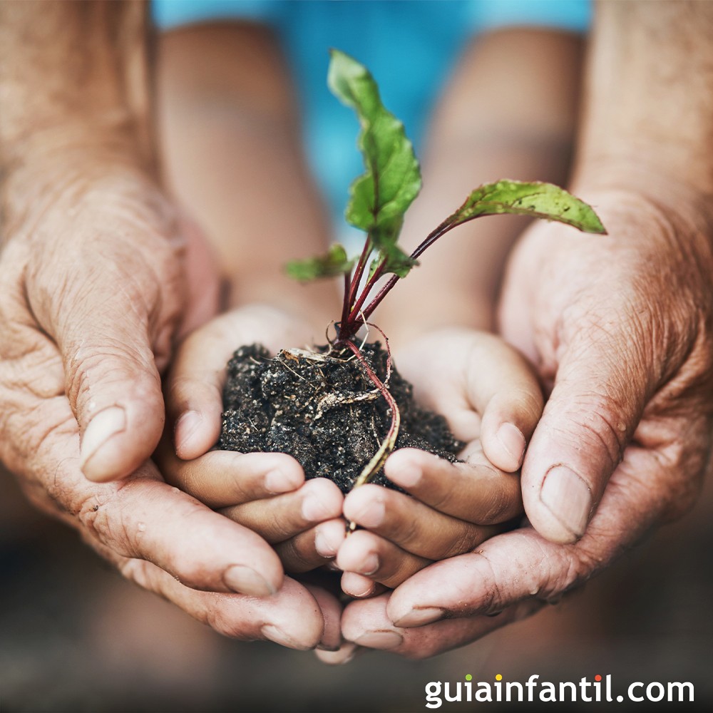 Dibujos De árboles De La Madre Naturaleza