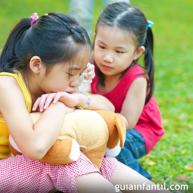 Un cuento infantil sobre la compasión