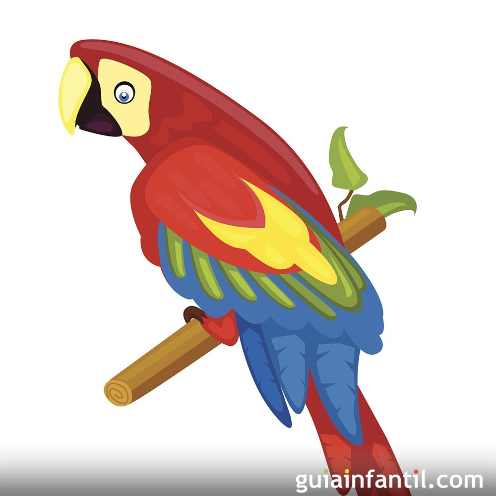 Lorito real. Poema infantil de Rugeles