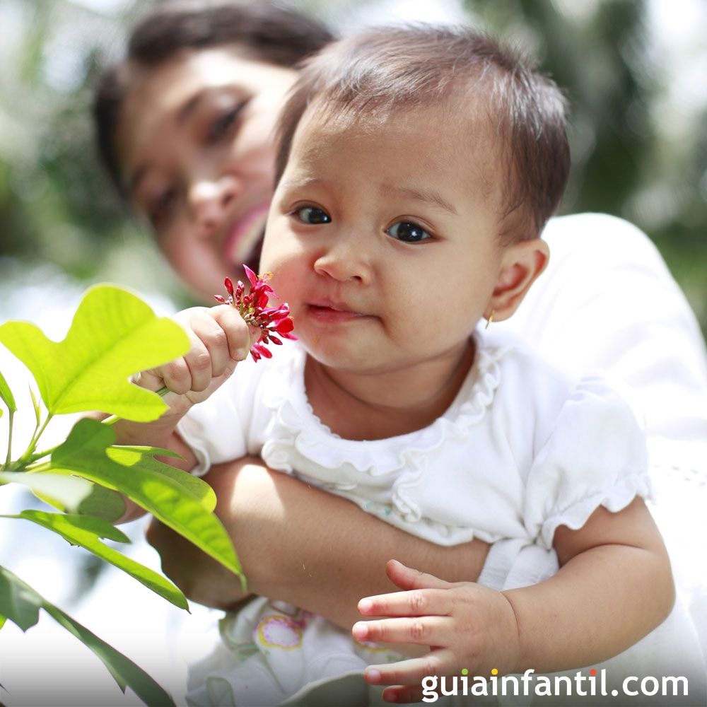 El Sentido Del Olfato Para Los Niños Juegos Para Estimular El Sentido