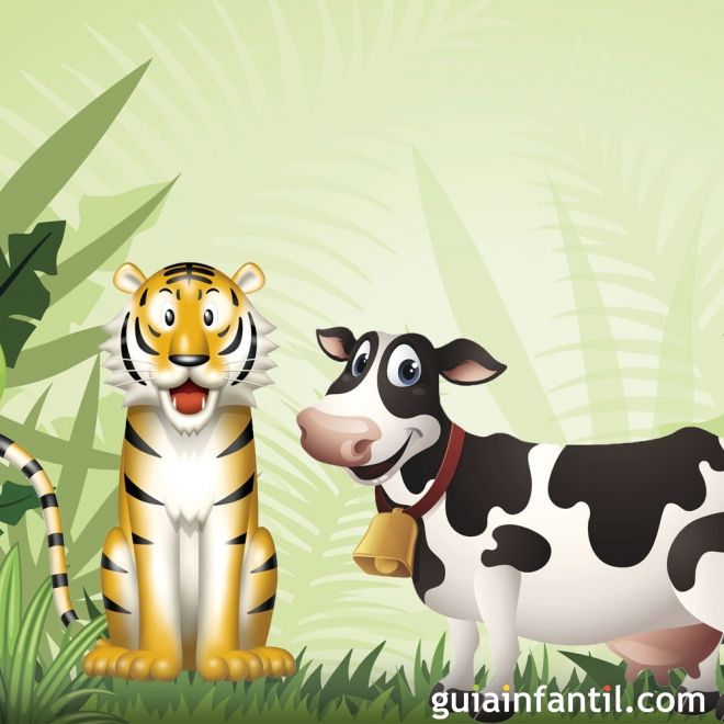 El Tigre Y La Vaca Cuento Del Caribe Con Valores Para Los Niños